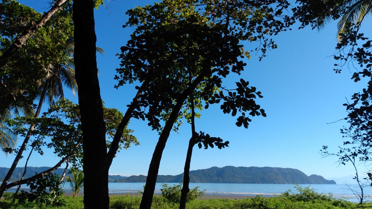 Commercial Beachfront lot